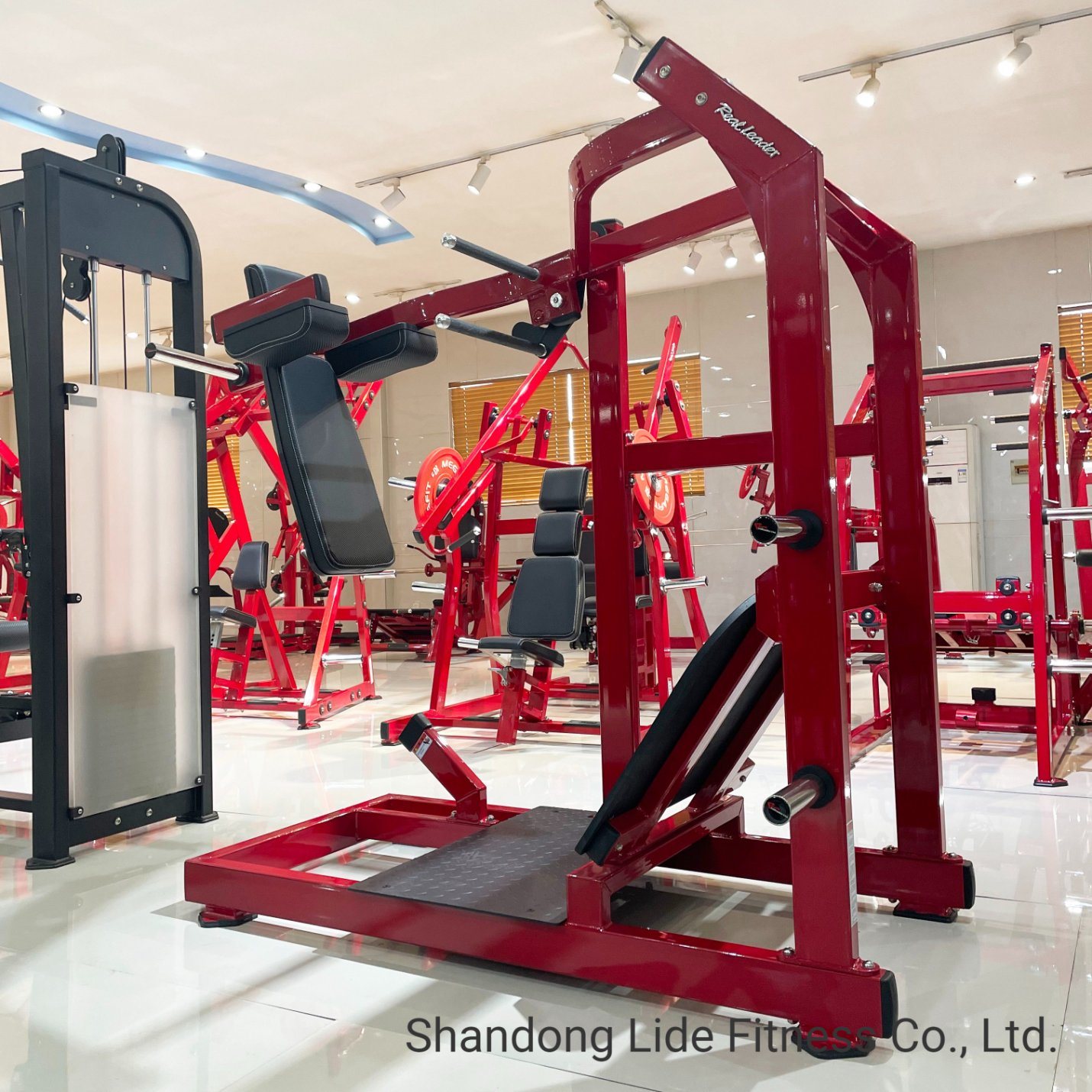 LD-2006 Pendulum Squat - Buy Abdominal Crunch muscles used, abdominal ...